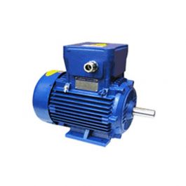 Explosion-Proof Motors