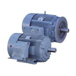 Explosion Proof Motors