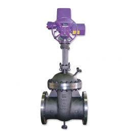 Gate Valve (A217-C5, MOV)