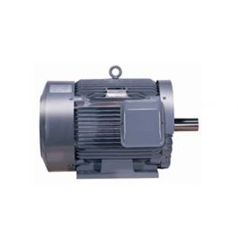 TEFC(Horizontal Type) Motor