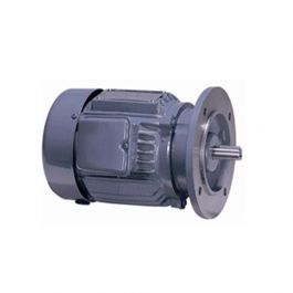 TEFC(Vertical Type) Motor